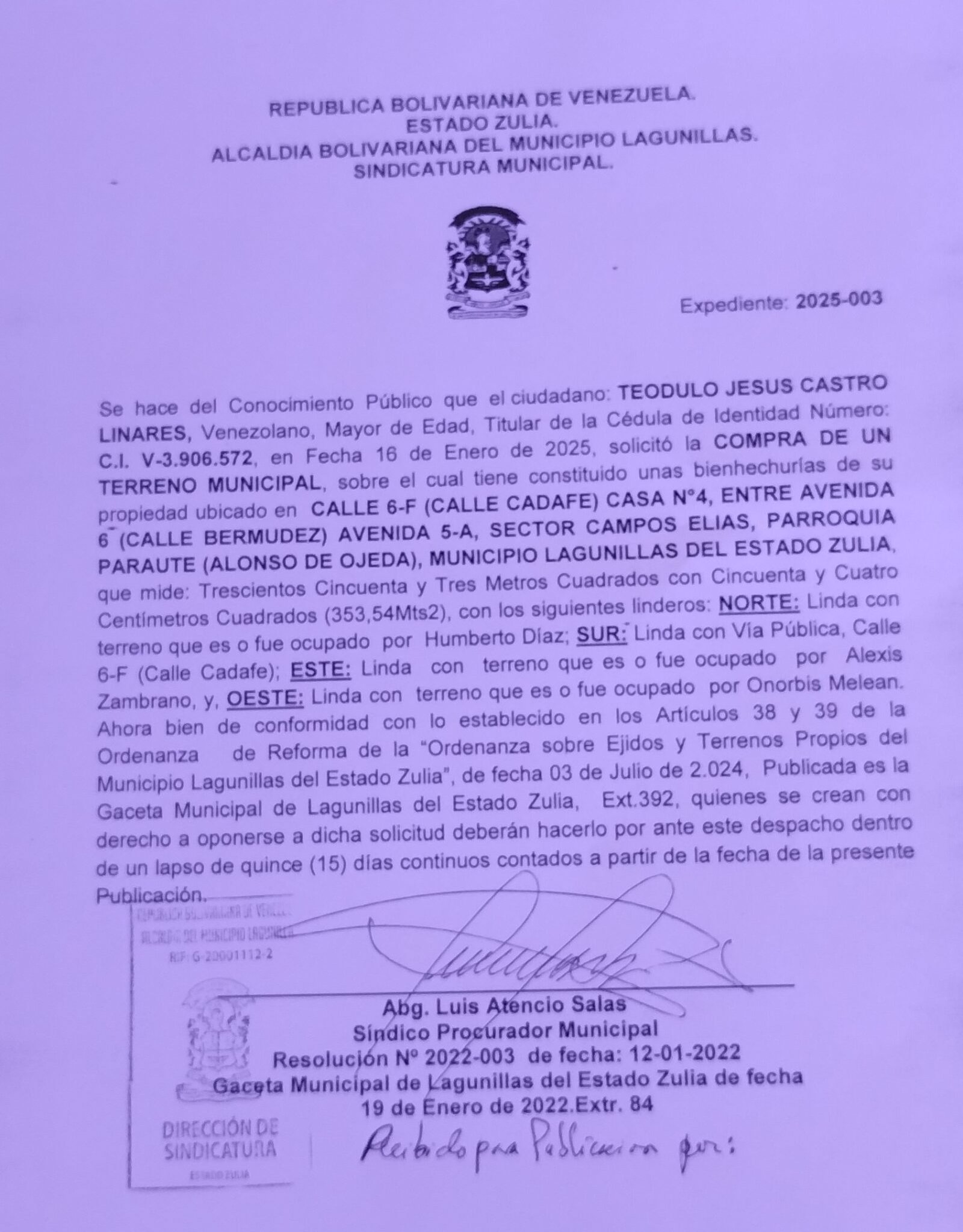 Cómo gestionar la legalización y apostilla de documentos en Venezuela ...